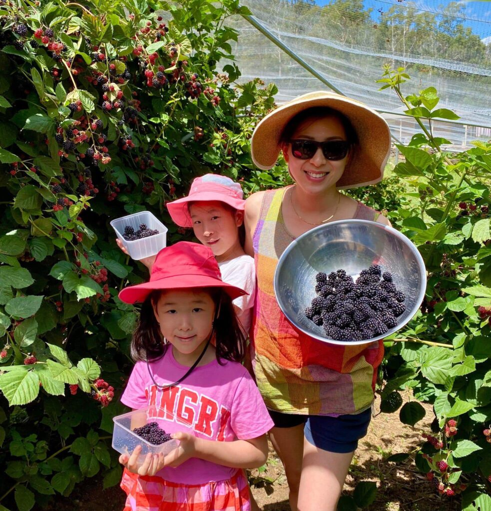 U-Pick at Our Family Farm in Melbourne: Fresh Produce, Fun for the ...