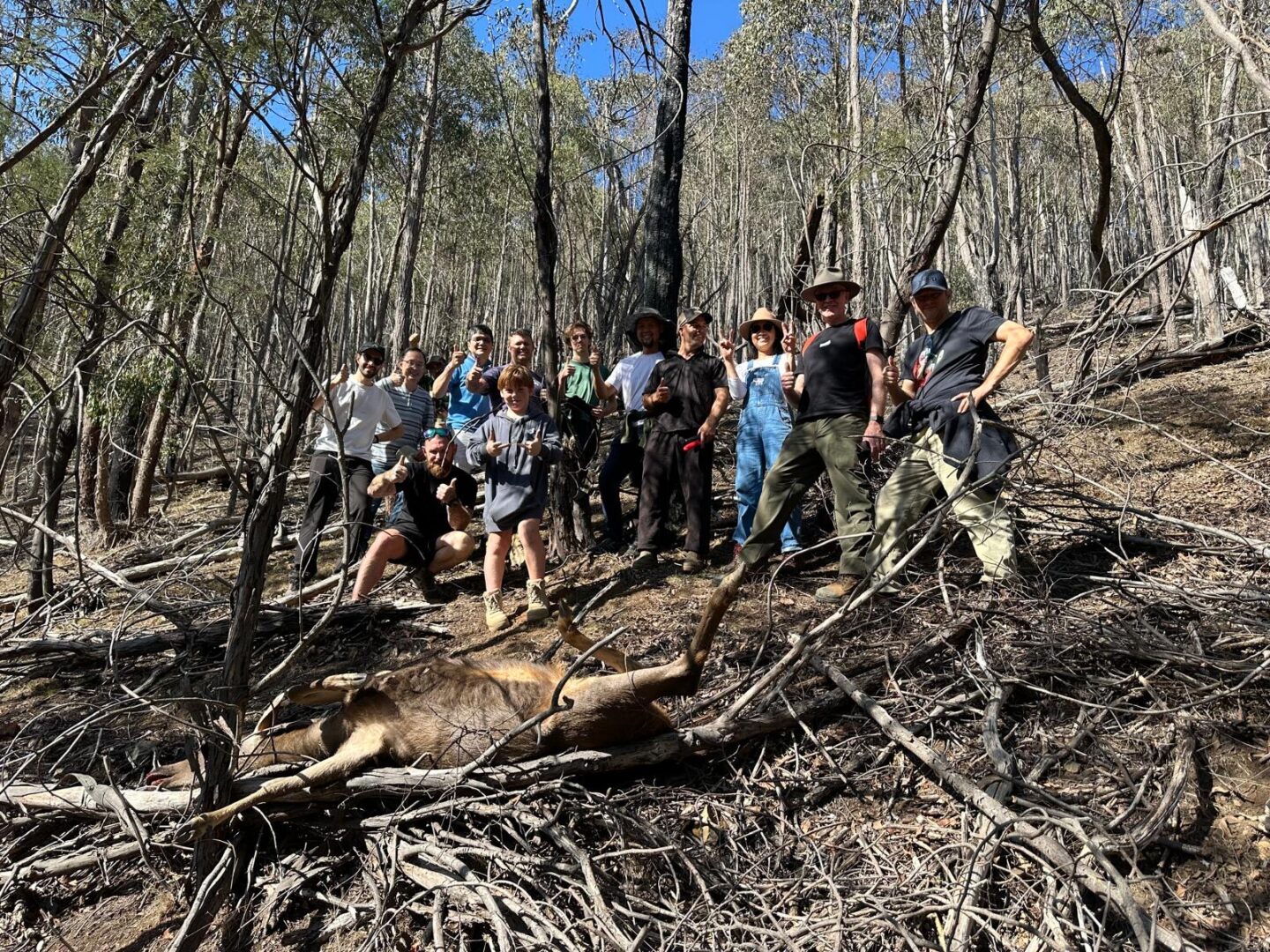 Hunter Education Course: Learn Safe & Ethical Firearm Hunting